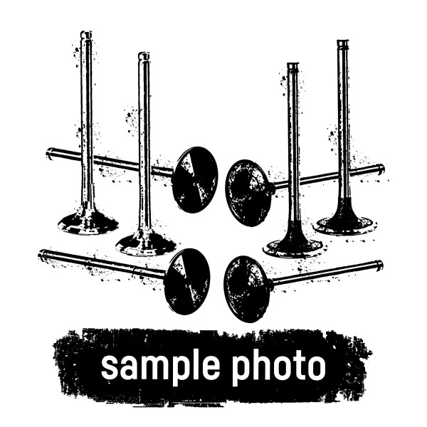 Valve Kit, intake/exhaust valve - VS0049 ET ENGINETEAM - 059109601M ...