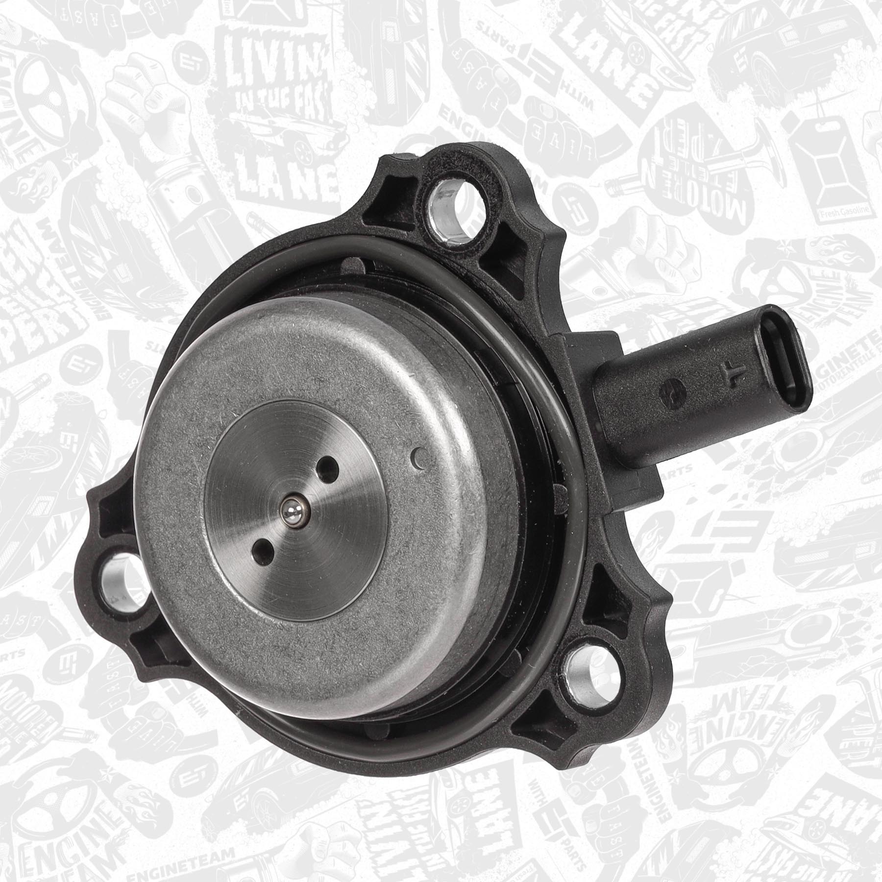 Central Magnet, camshaft adjustment - CV0053 ET ENGINETEAM - 14956 ...
