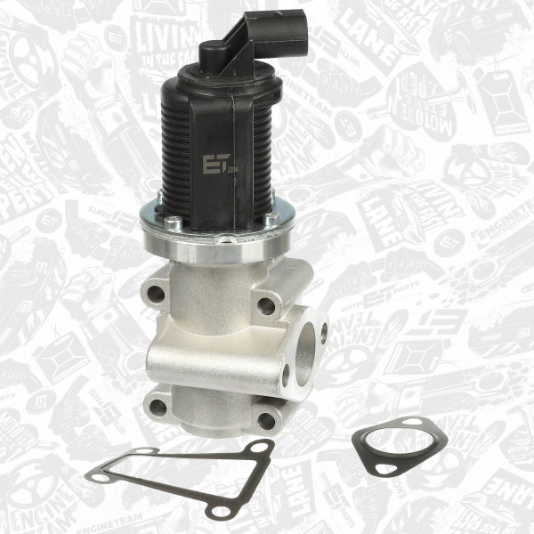 EGR Valve - ED0144 ET ENGINETEAM - 46823850, 55204250, 55194735 | ET ...