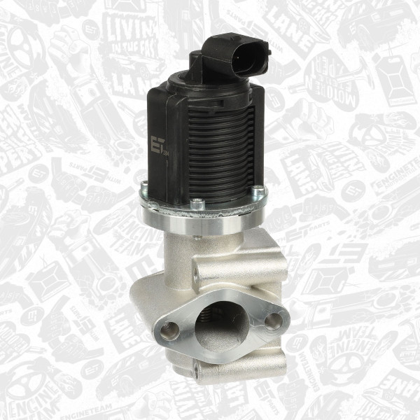 EGR Valve - ED0144 ET ENGINETEAM - 46823850, 55204250, 55194735 | ET ...