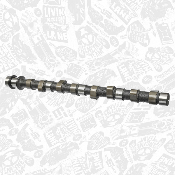 Camshaft - HV0142 ET ENGINETEAM - 24110-42502, 662872, MD050140 | ET ...