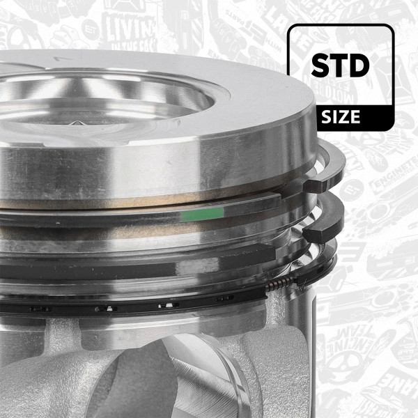 Piston with rings and pin - PM016100 ET ENGINETEAM - 120A12761R ...