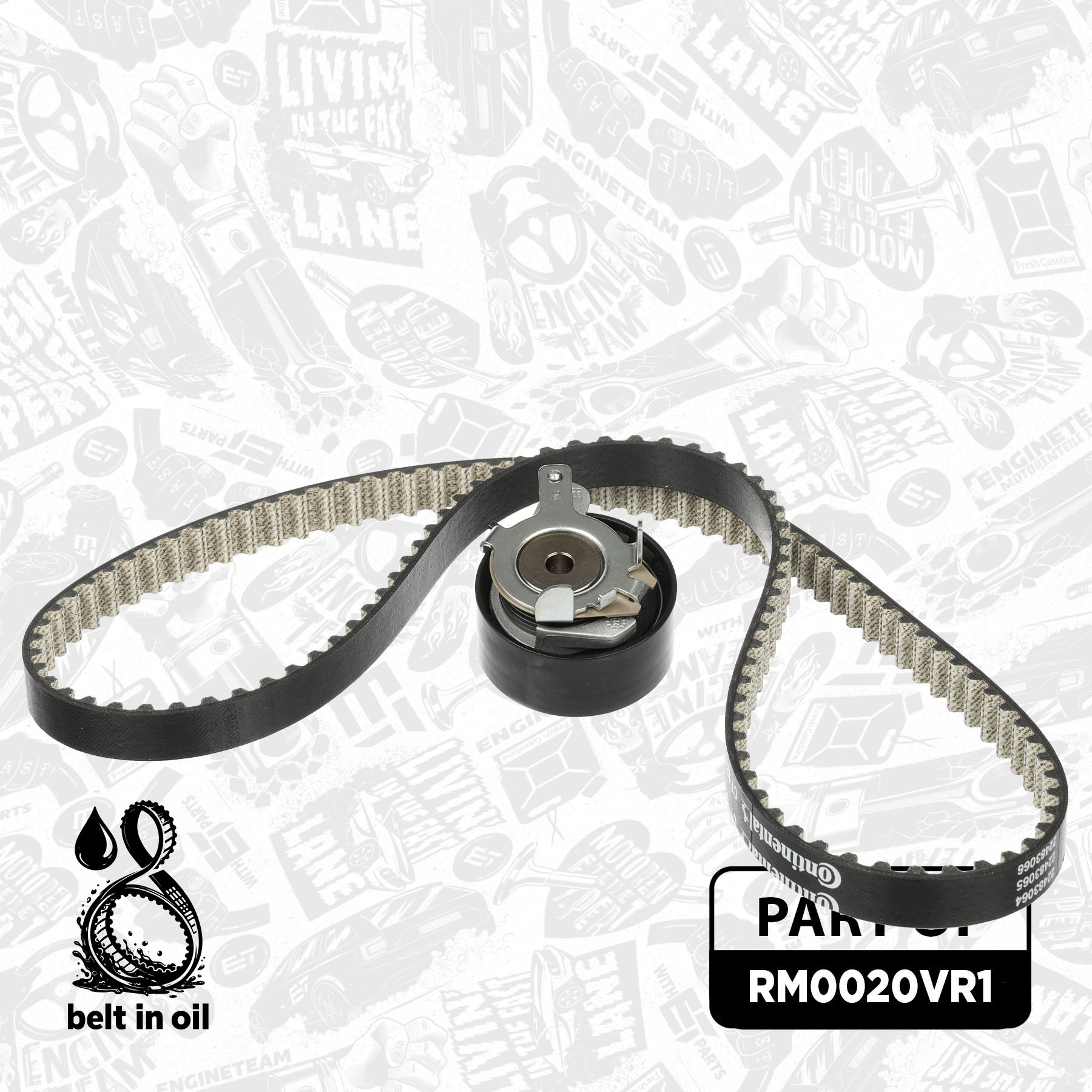Timing Belt Kit - RM0020VR1 ET ENGINETEAM - 1761082, CM5G6B651EA ...