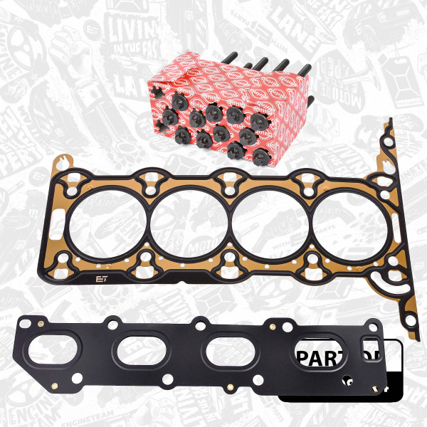 Timing Chain Kit - RS0008VR4 ET ENGINETEAM - 11140-84E50, 1606278 ...