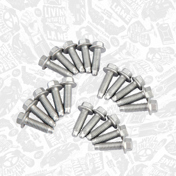 Timing Chain Kit - RS0040 ET ENGINETEAM - 0250.57, 11317533876, 082027 ...