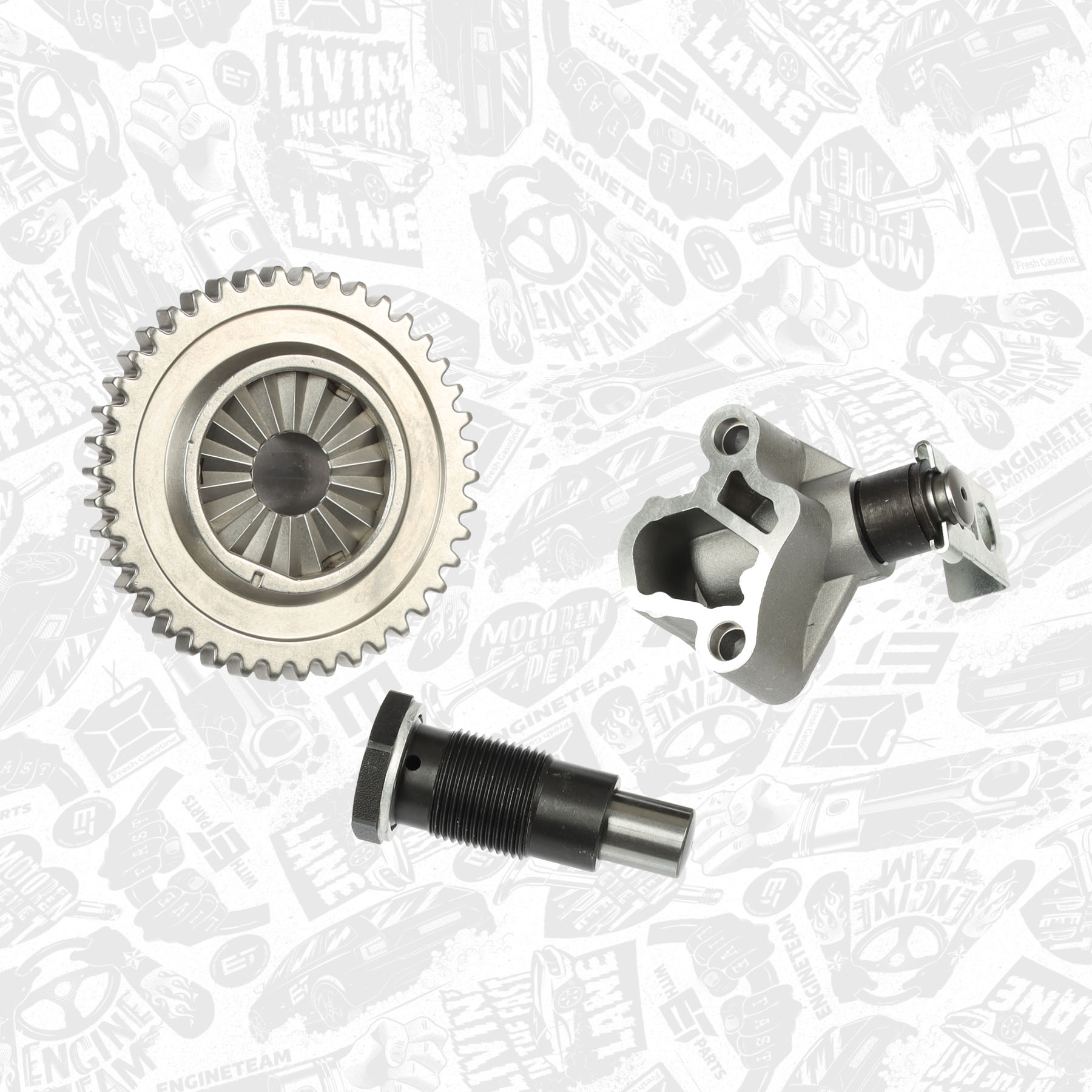 Timing Chain Kit - RS0043 ET ENGINETEAM - 06H109158, 06H109158J ...