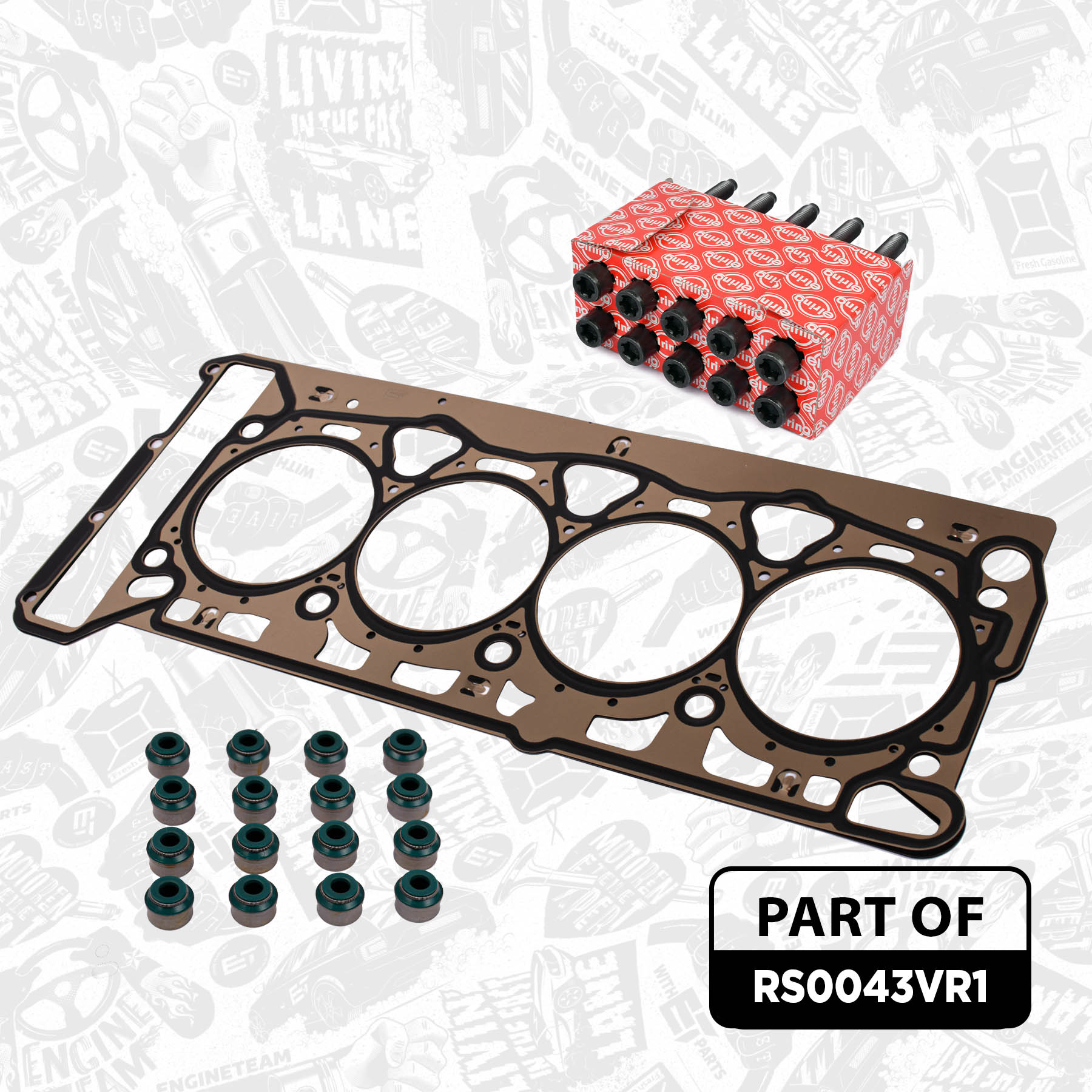 Timing Chain Kit - RS0043VR1 ET ENGINETEAM - 06H109158, 06H109158J ...