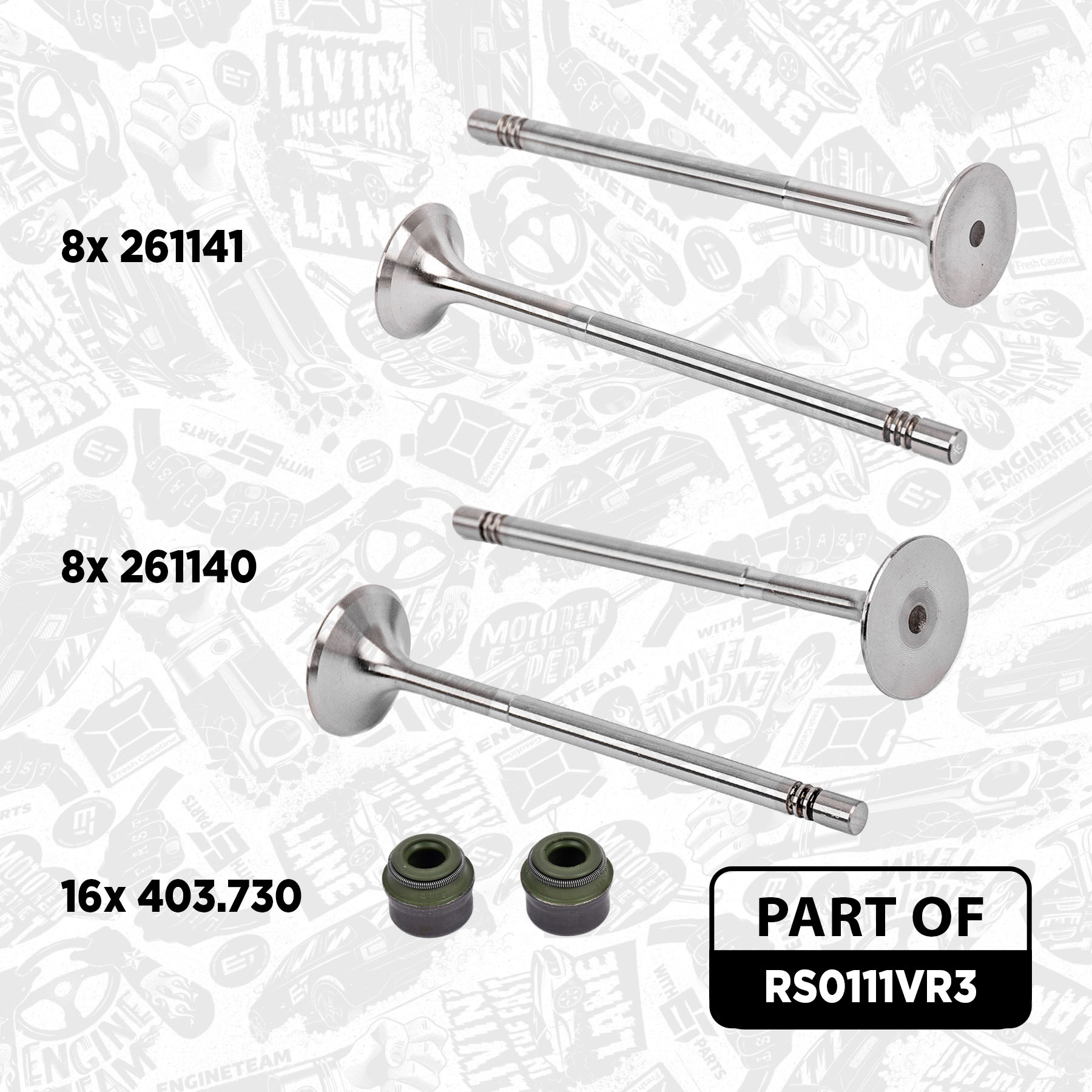 Timing Chain Kit - RS0111VR3 ET ENGINETEAM - 6510520001, A6510520100 ...