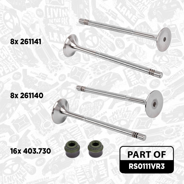 Timing Chain Kit - RS0111VR3 ET ENGINETEAM - 6510520001, A6510520100 ...