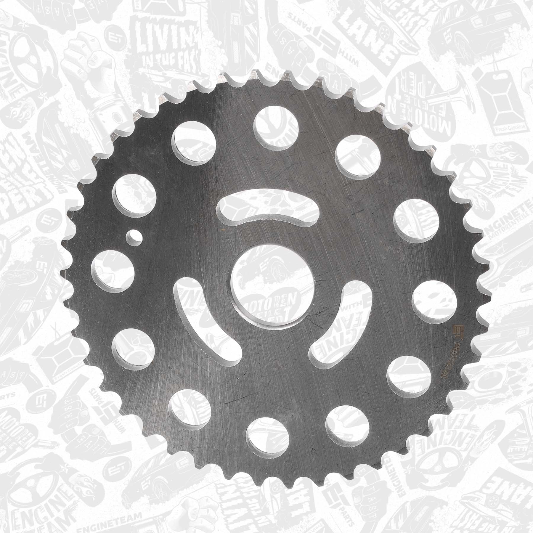 Timing Chain Kit - RS0118 ET ENGINETEAM - 130289246R, 101096 ...