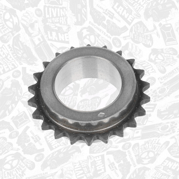 Chain Kit, oil pump drive - RS0124 ET ENGINETEAM - 3639531, 9676080580 ...