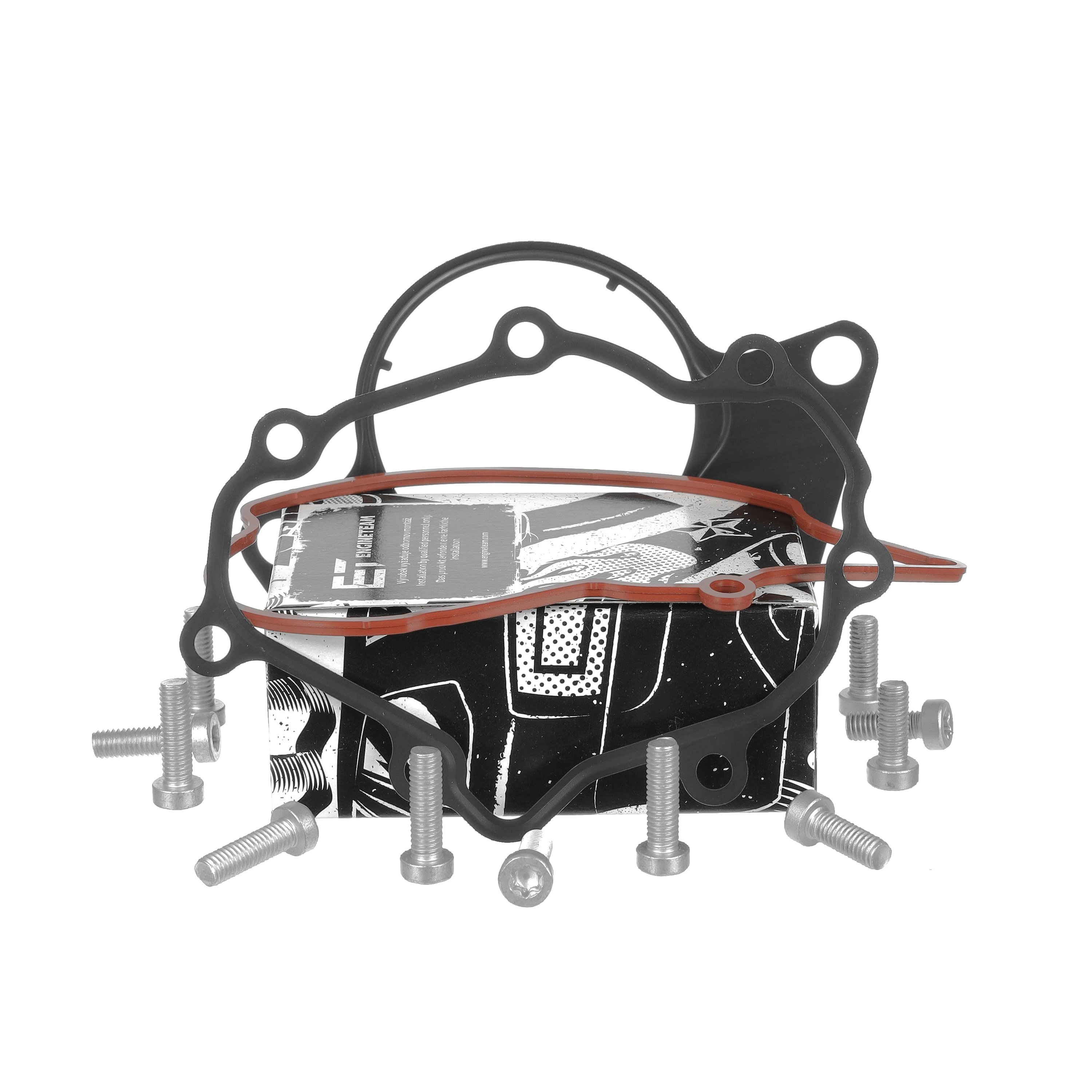 Repair Set, vacuum pump (braking system) - TM0024 ET ENGINETEAM ...