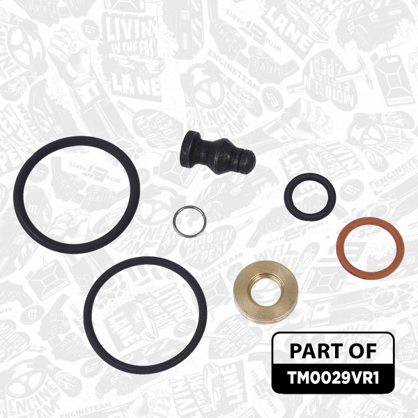 Seal Kit, injector nozzle 3 pcs + bolts - TM0029VR1 ET ENGINETEAM ...