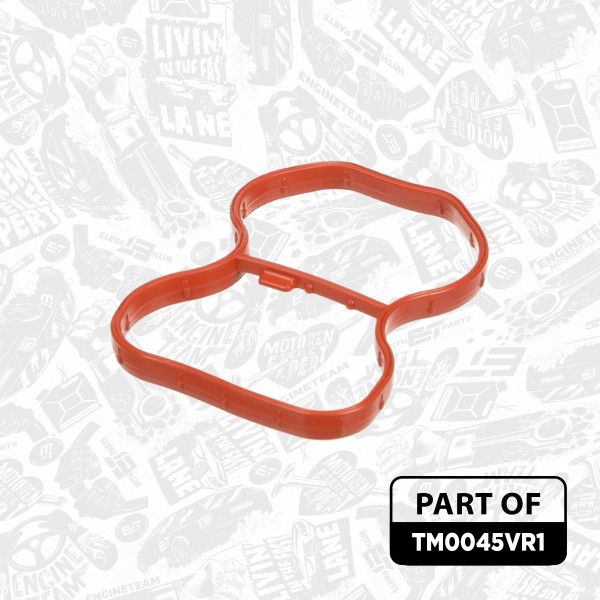 Gasket Set, intake manifold - TM0045VR1 ET ENGINETEAM - 11617807480 ...