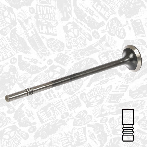 Spare parts FORD TRANSIT COURIER V769 Box Body/MPV (N3P) 1.0 EcoBoost ...