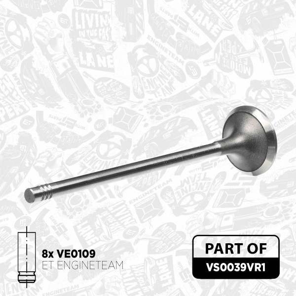 Valve Kit, intake/exhaust valve - VS0039VR1 ET ENGINETEAM - 13201-00QAD ...
